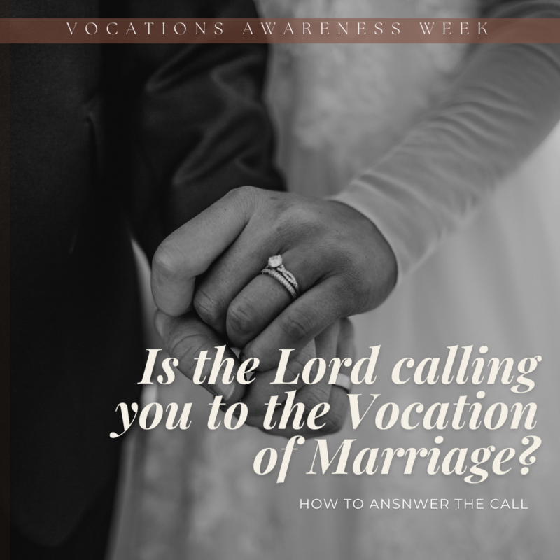 November 2022 - Thanksgiving & Vocations - South Carolina Catholic