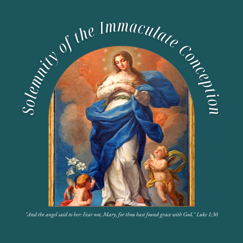 December 2022 - Advent & Christmas - South Carolina Catholic