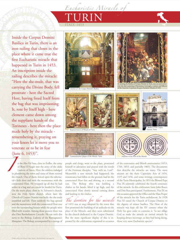 The Eucharist Reveals | La Eucaristía Revela - South Carolina Catholic